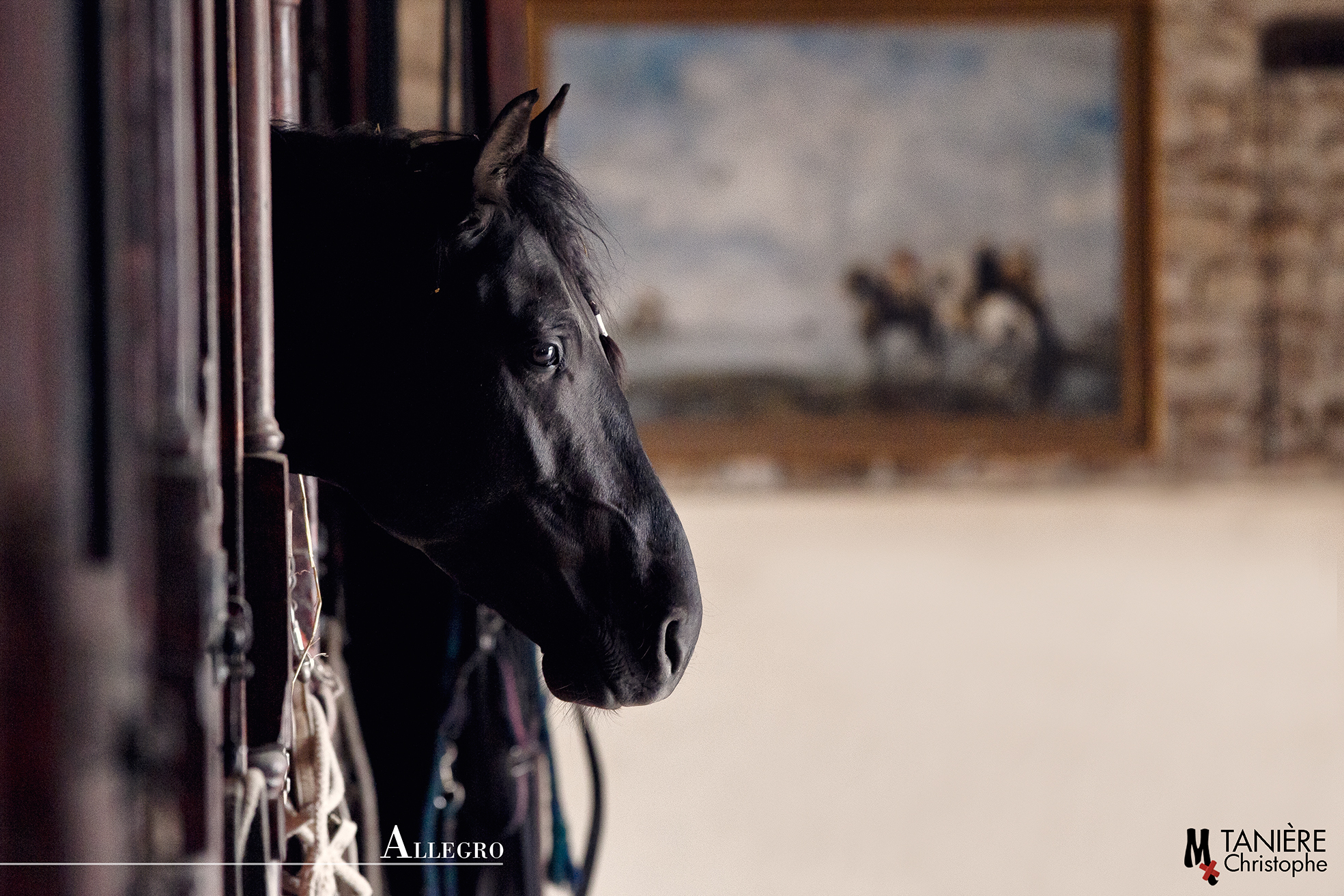 Tournage Mario Luraschi pour l'émission CAVAL'mag