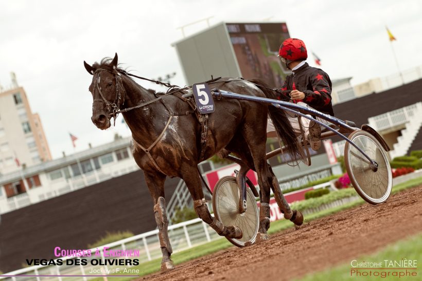 Courses spectacle de trot attelé à Enghien