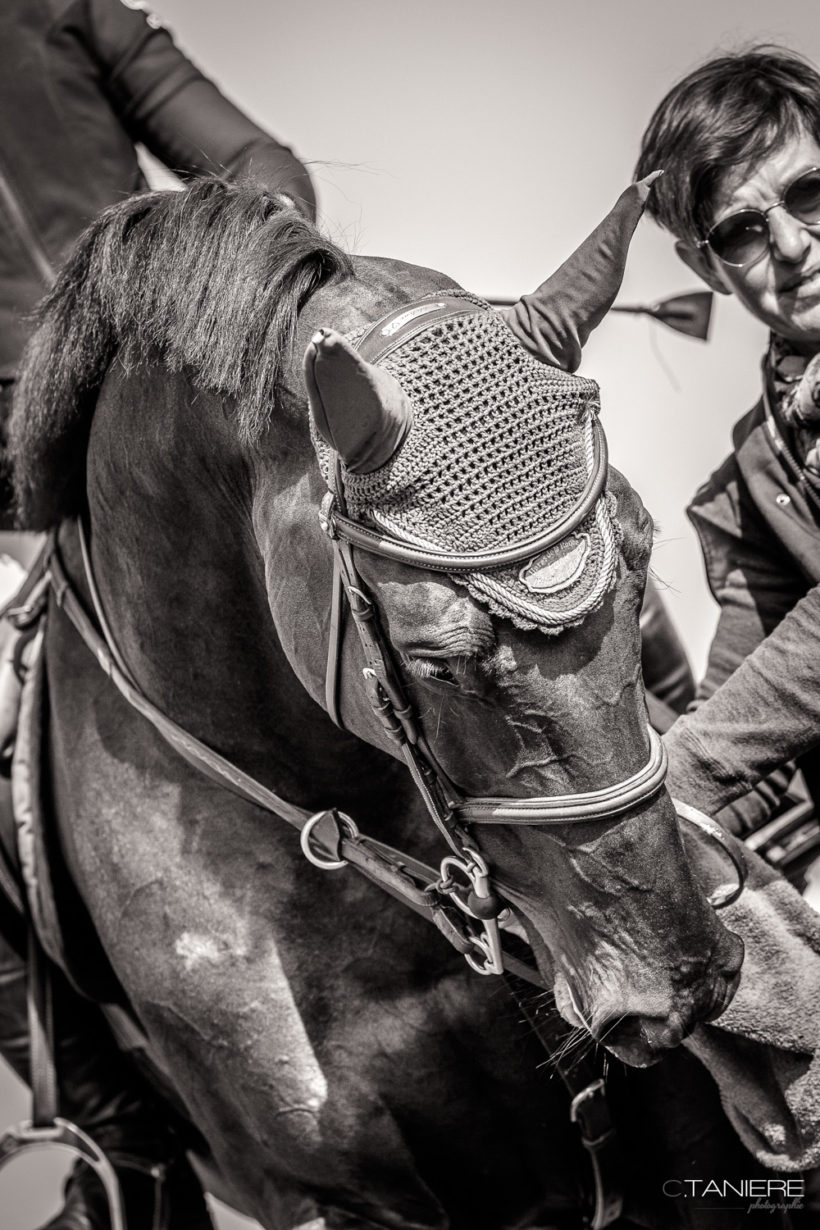 Jumping Chantilly 2015