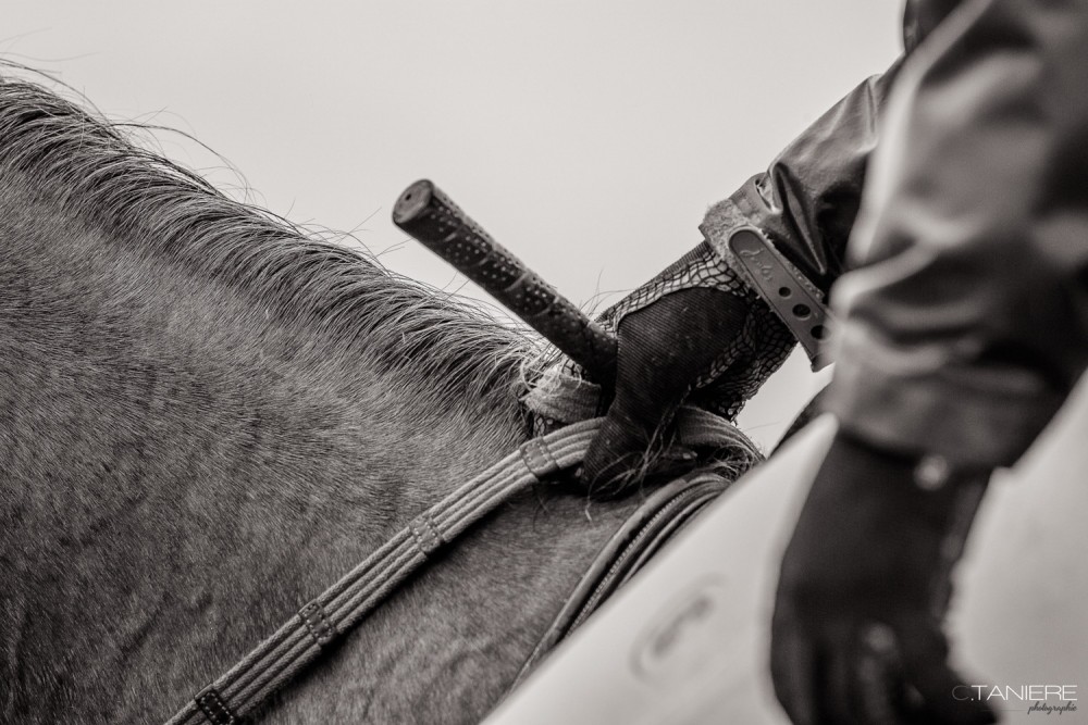 Jumping Chantilly 2015